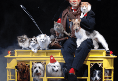 Home - McCoy Center for the Arts